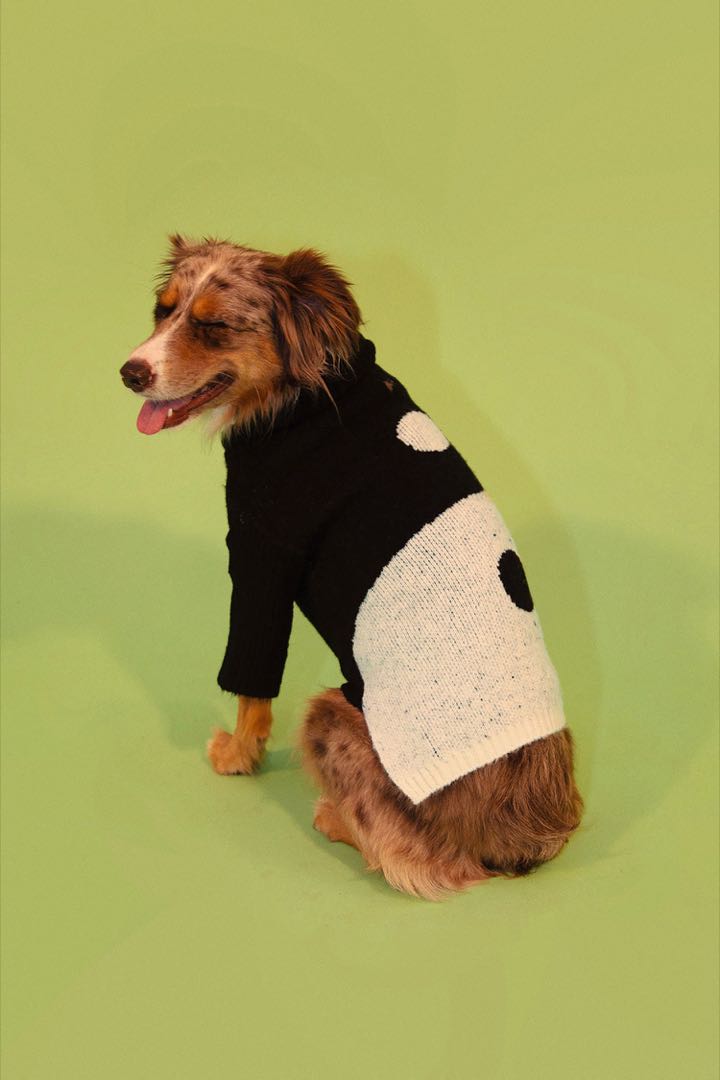 El diseño de indumentaria para perros es ¡el mejor amigo de la moda ...