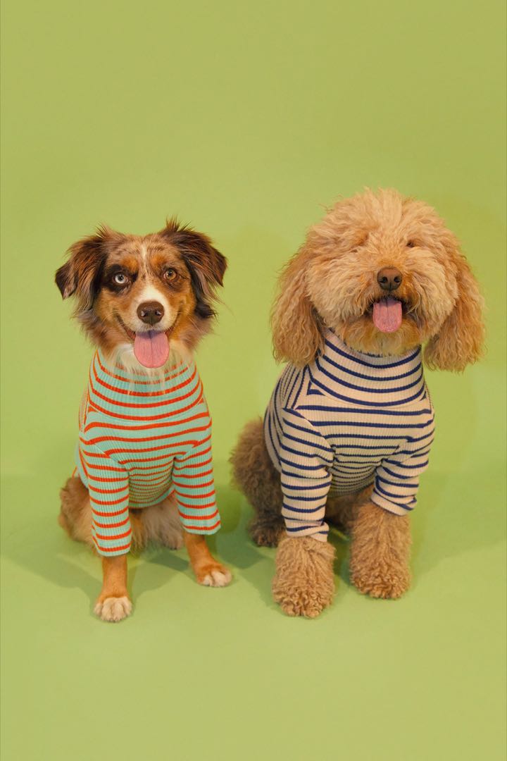 El diseño de indumentaria para perros es ¡el mejor amigo de la moda ...