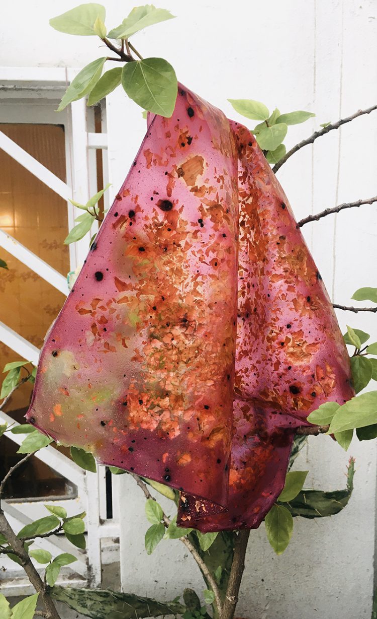 9 cosas que tenés que saber sobre biomateriales – PuroDiseño