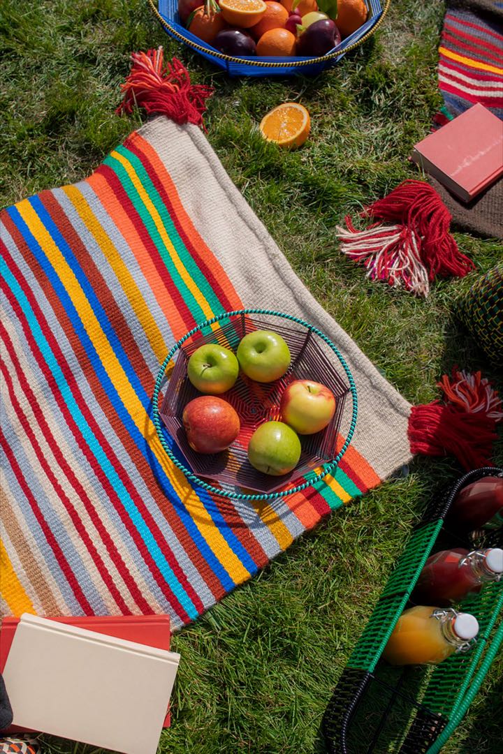 Objetos de diseño de todos los colores para hacer un picnic 2021 ...