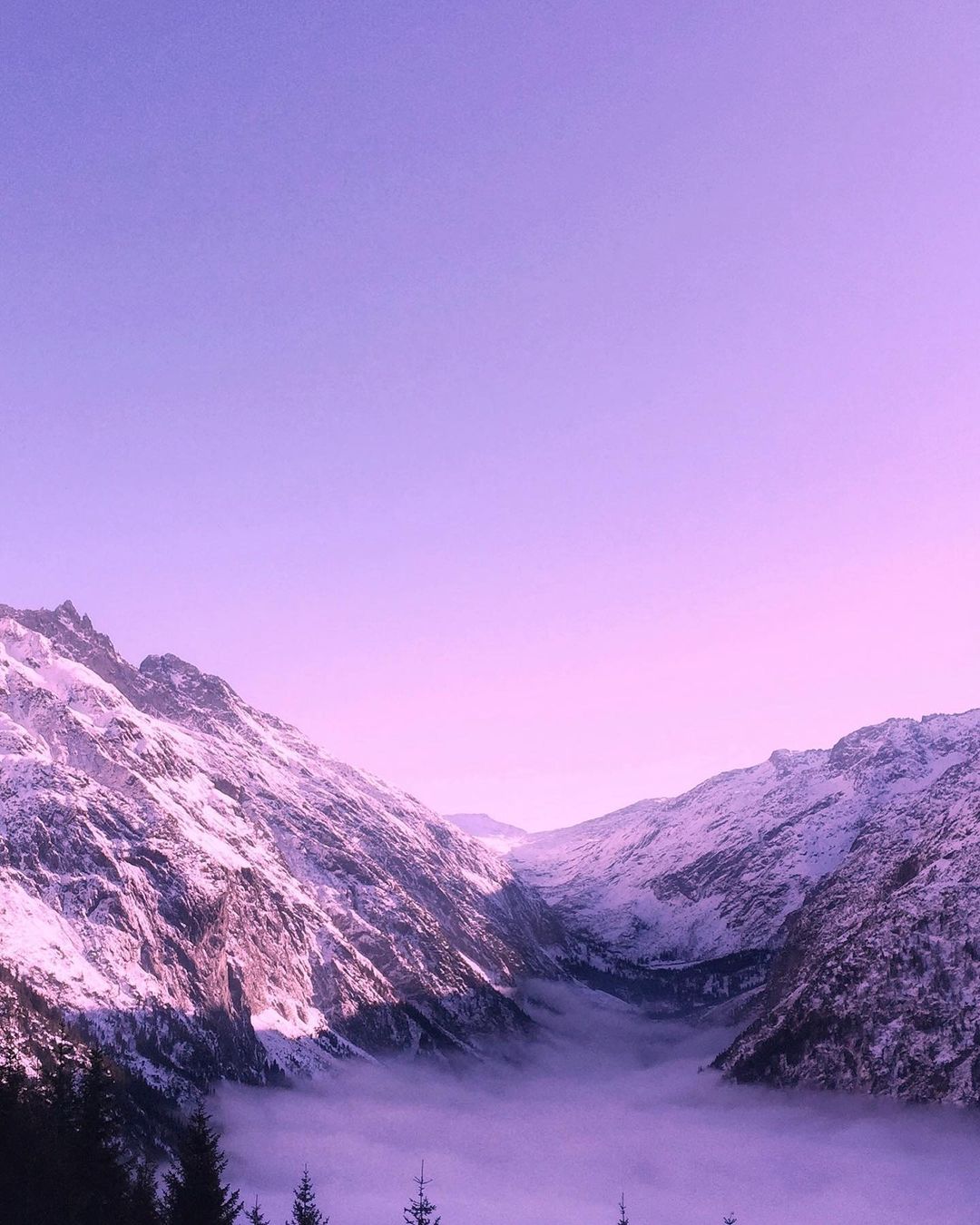 Very Peri: 7 claves del color Pantone de 2022 (y cómo usarlo) – PuroDiseño