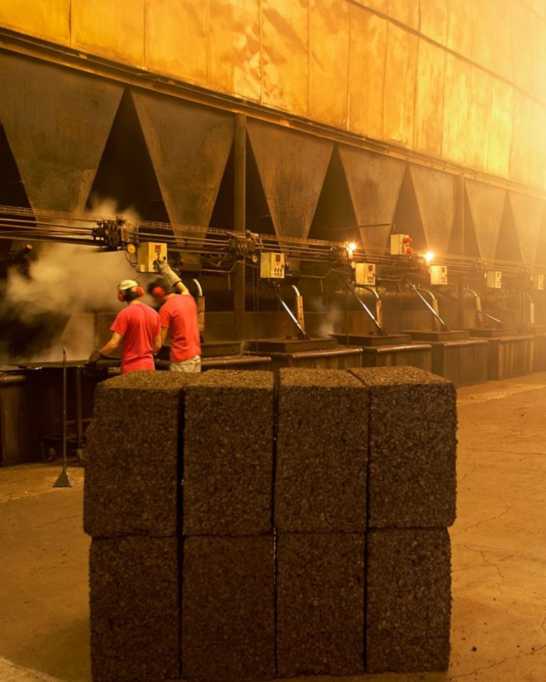 El corcho negro: un producto símbolo de Portugal convertido en material ...
