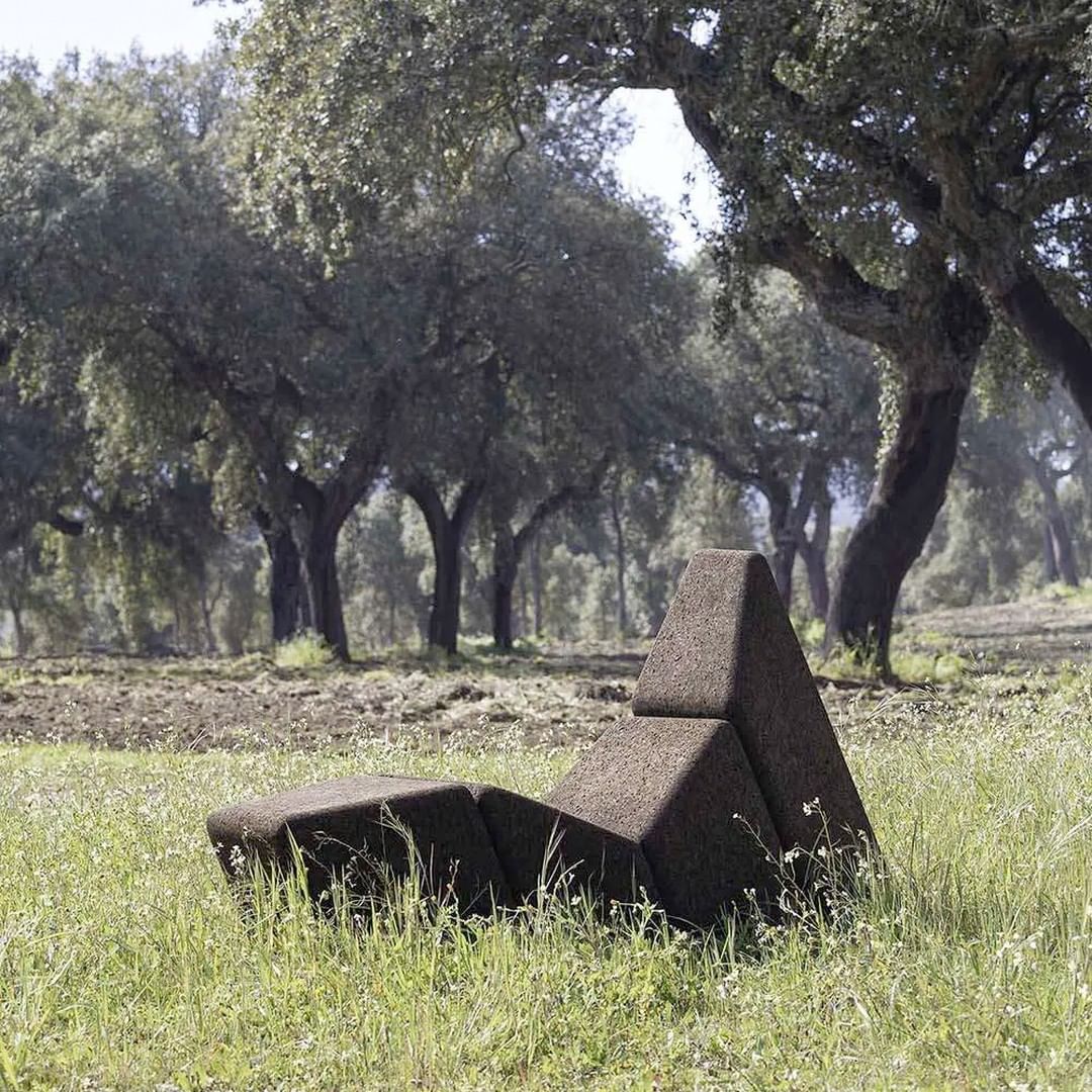 El corcho negro: un producto símbolo de Portugal convertido en material ...