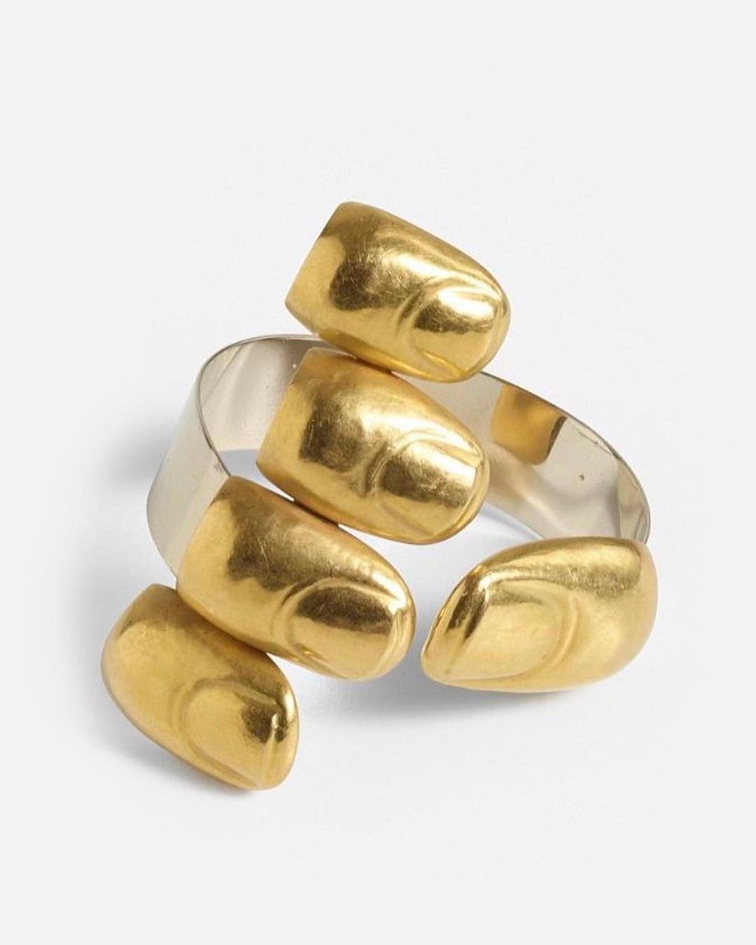 Las increíbles joyas anatómicas de Gerd Rothmann vuelven a asombrar al ...