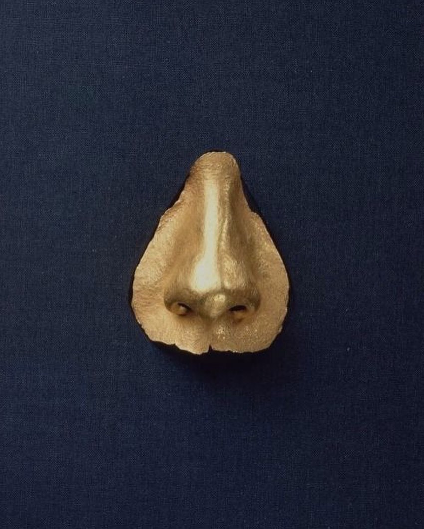 Las increíbles joyas anatómicas de Gerd Rothmann vuelven a asombrar al ...