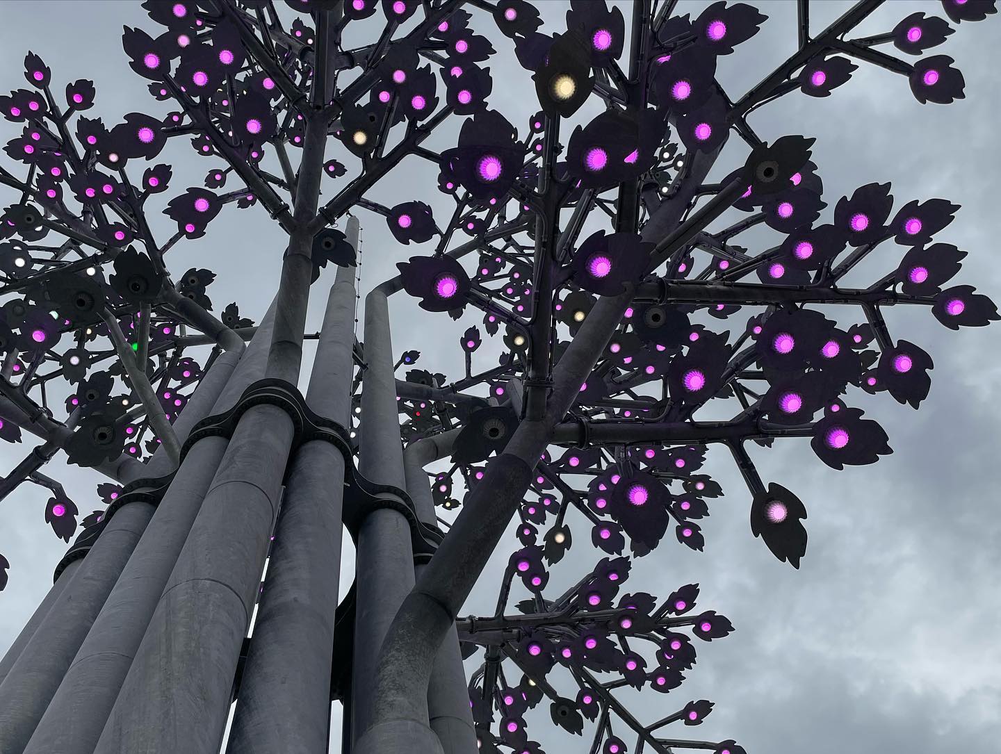 Arbórea Magna: 7 cosas que tenés que saber sobre la nueva escultura en ...