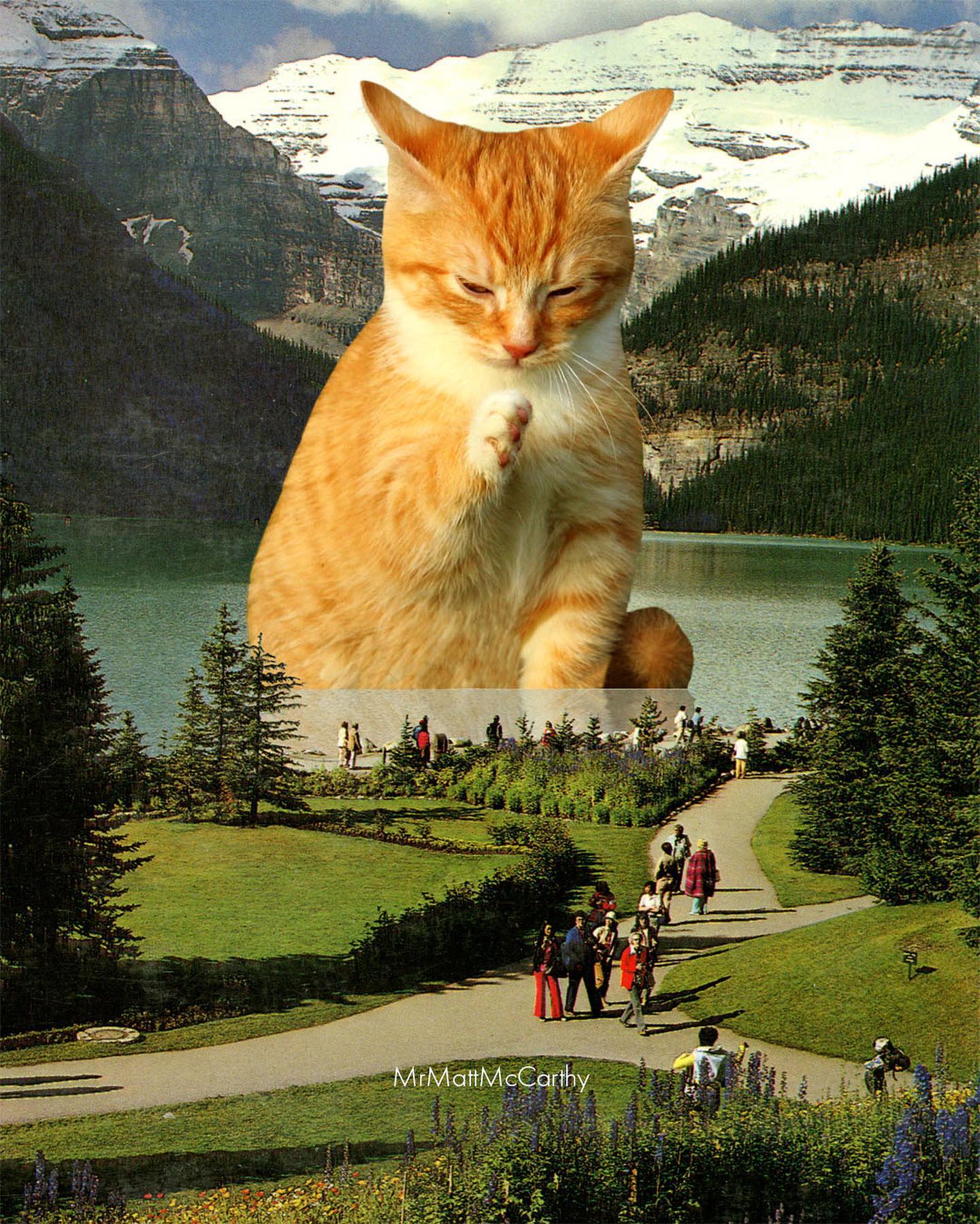 Retrato de Matt McCarthy, el artista detrás de los gatos gigantes de ...