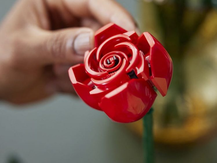 Rosas Icons. Noticias sobre Rosas Icons | PuroDiseño – PuroDiseño