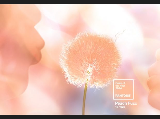 Peach Fuzz: lo que tenés que saber sobre el Color Pantone del año 2024 ...