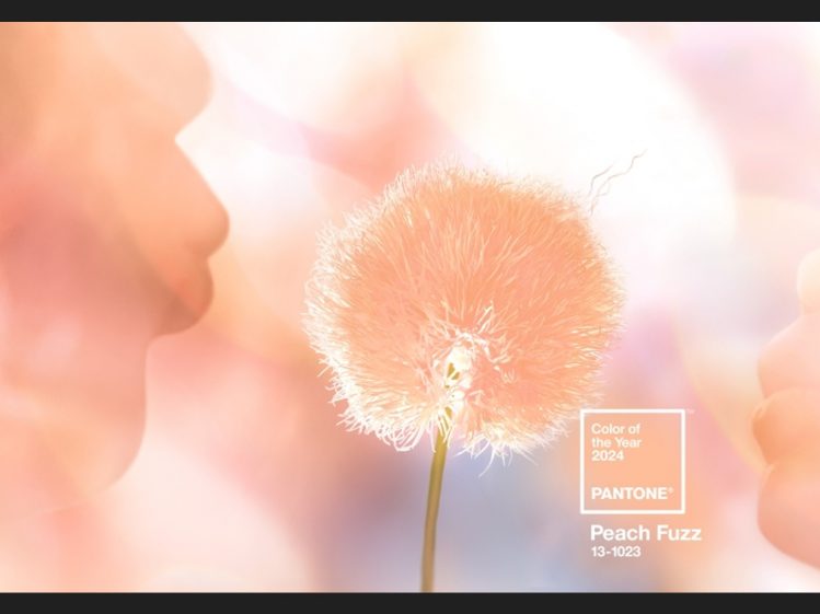 Peach Fuzz: lo que tenés que saber sobre el Color Pantone del año 2024 ...