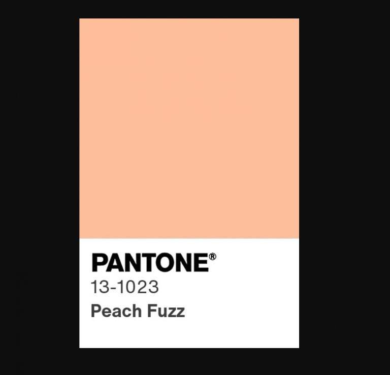 Peach Fuzz: lo que tenés que saber sobre el Color Pantone del año 2024 ...