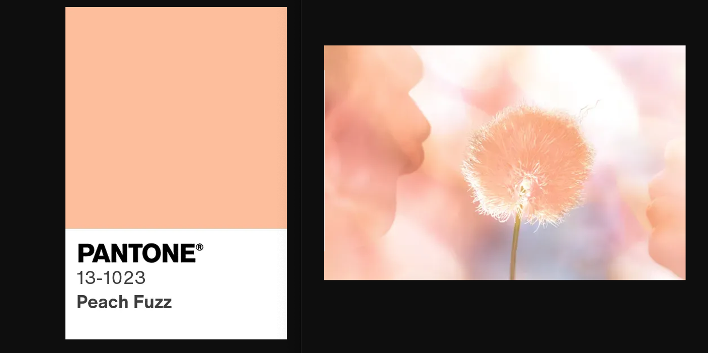 Peach Fuzz: lo que tenés que saber sobre el Color Pantone del año 2024 ...