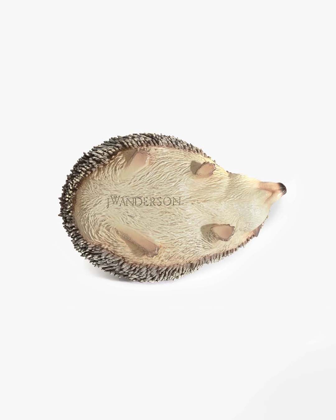 La elegancia del erizo: el sorprendente ícono de moda 2024 de JW ...