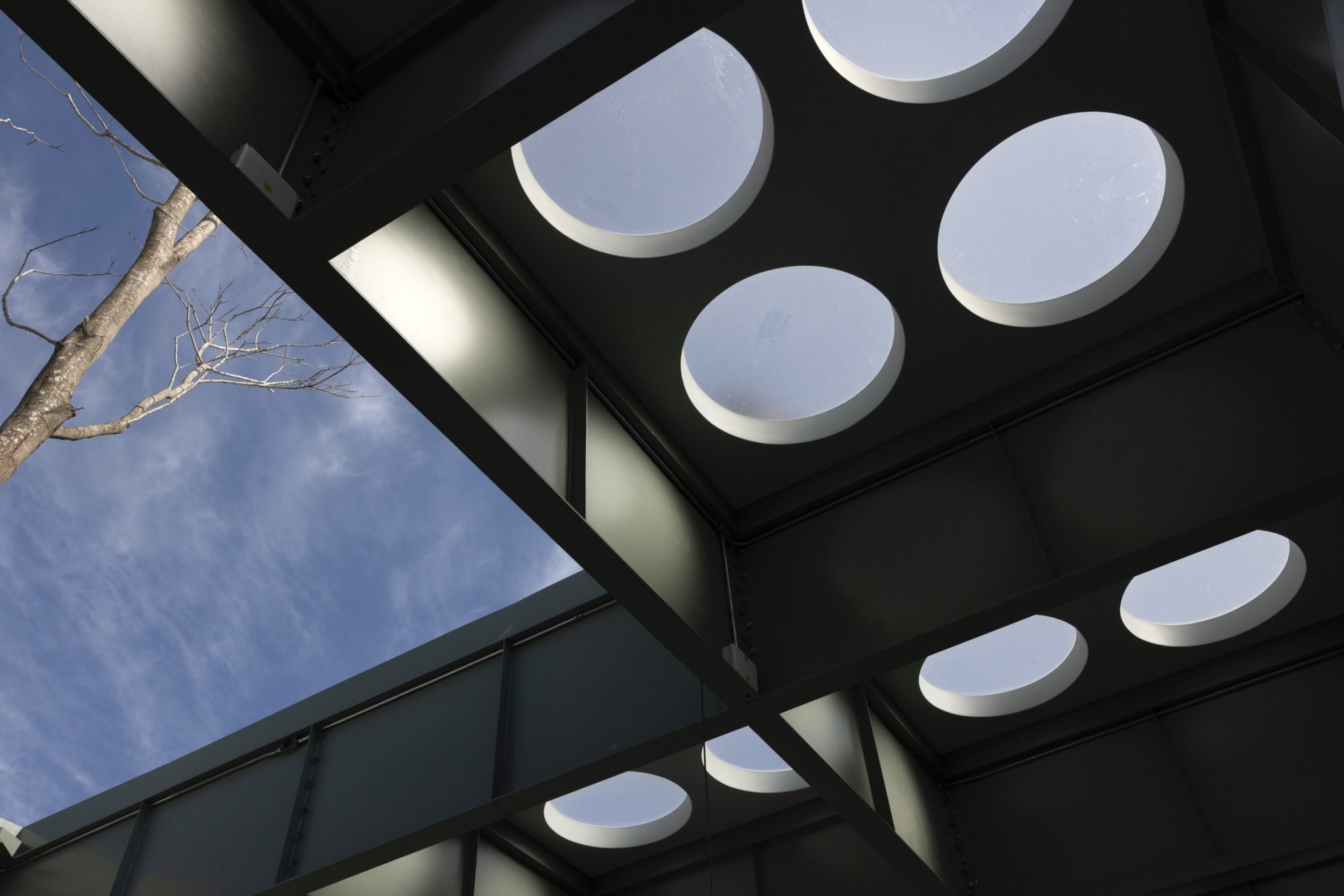 Inaugura Malba Puertos: lo que tenés que saber sobre el nuevo espacio ...