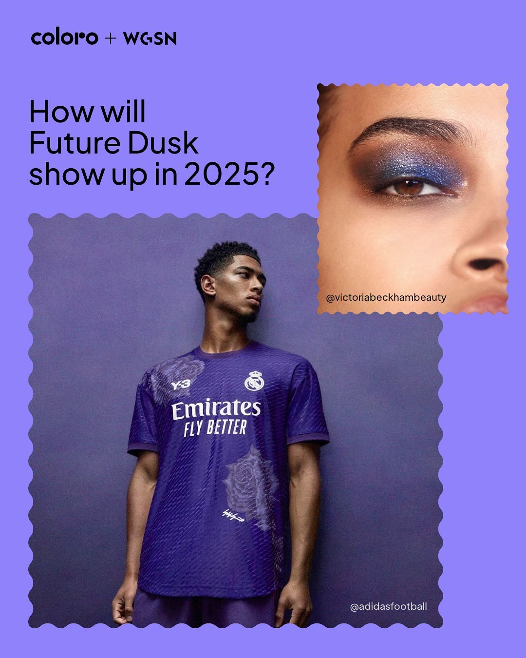 Cómo es el Future Dusk: el (otro) Color del Año 2025 elegido por WGSN y ...